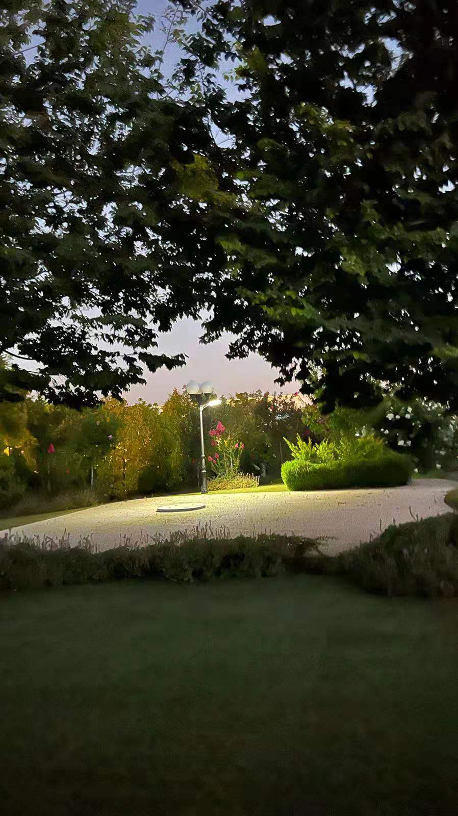 BOSUN solar powered outdoor pole lights project for park